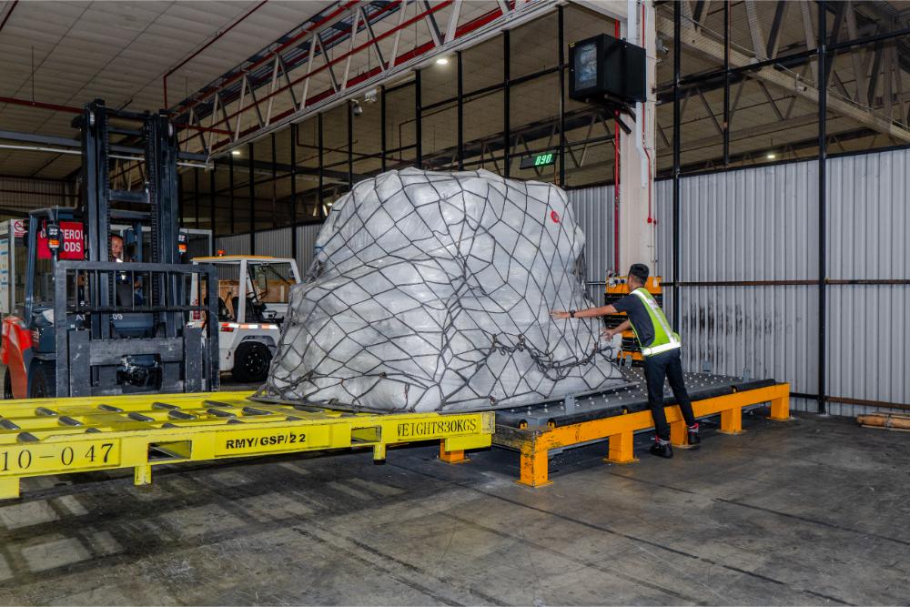 Ground & Cargo Handling Services in Malaysia | Raya Airways